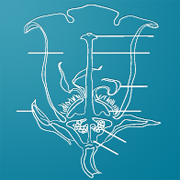 Login - Sinclair Community College